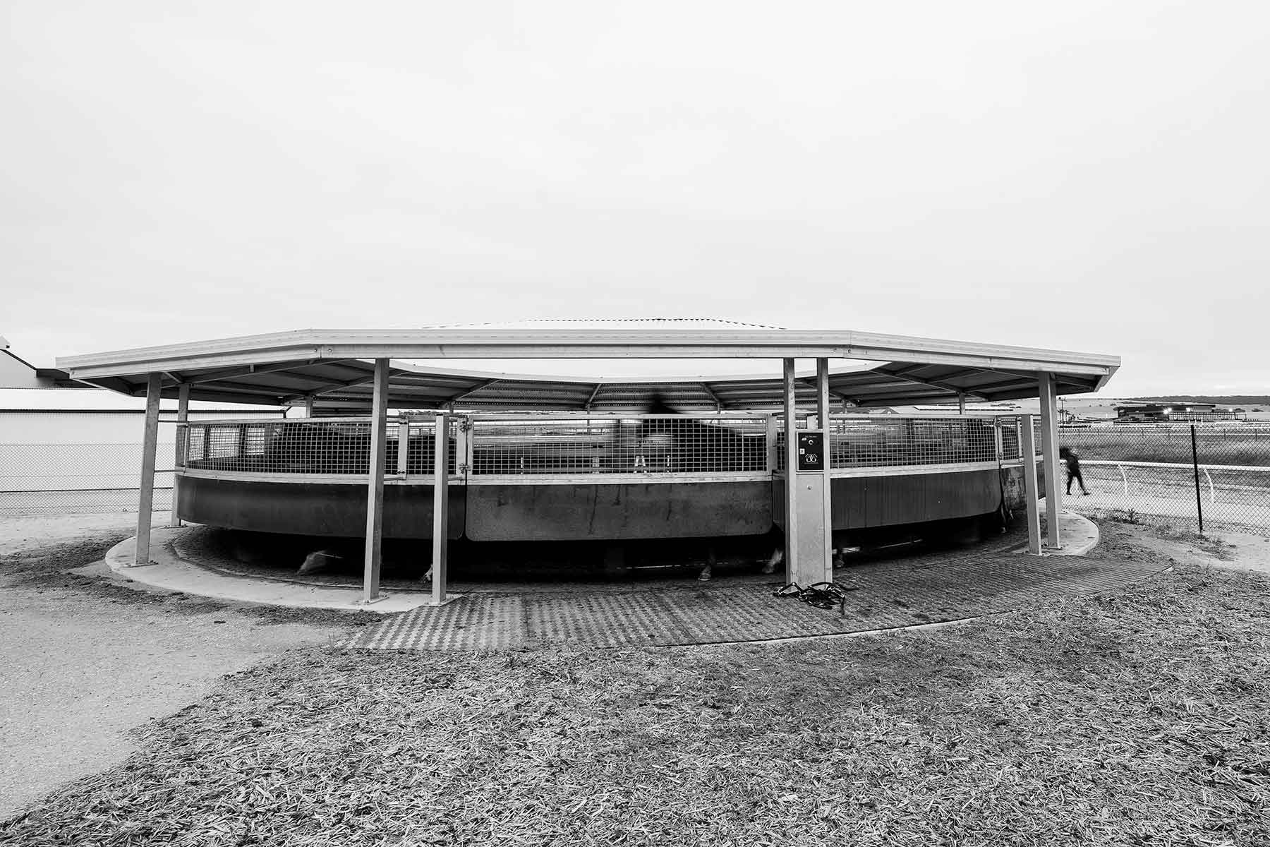 Murray Bridge Racing Club Stabling Facility | Fore Design